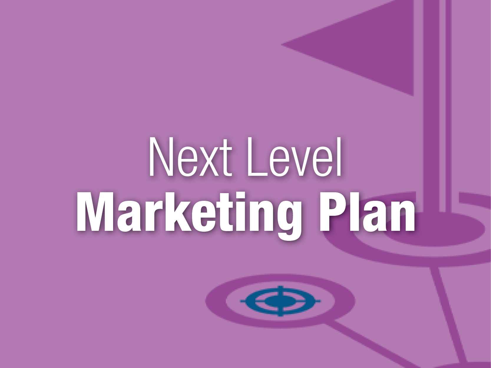 Next Level Marketing Plan - C2P Central